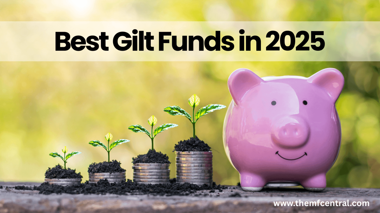 Best Gilt Mutual Funds To Invest In May 2025 - TheMFCentral